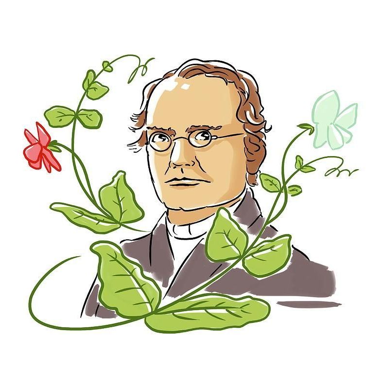 Gregorio Mendel
