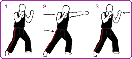 Golpes básicos boxeo | Genially