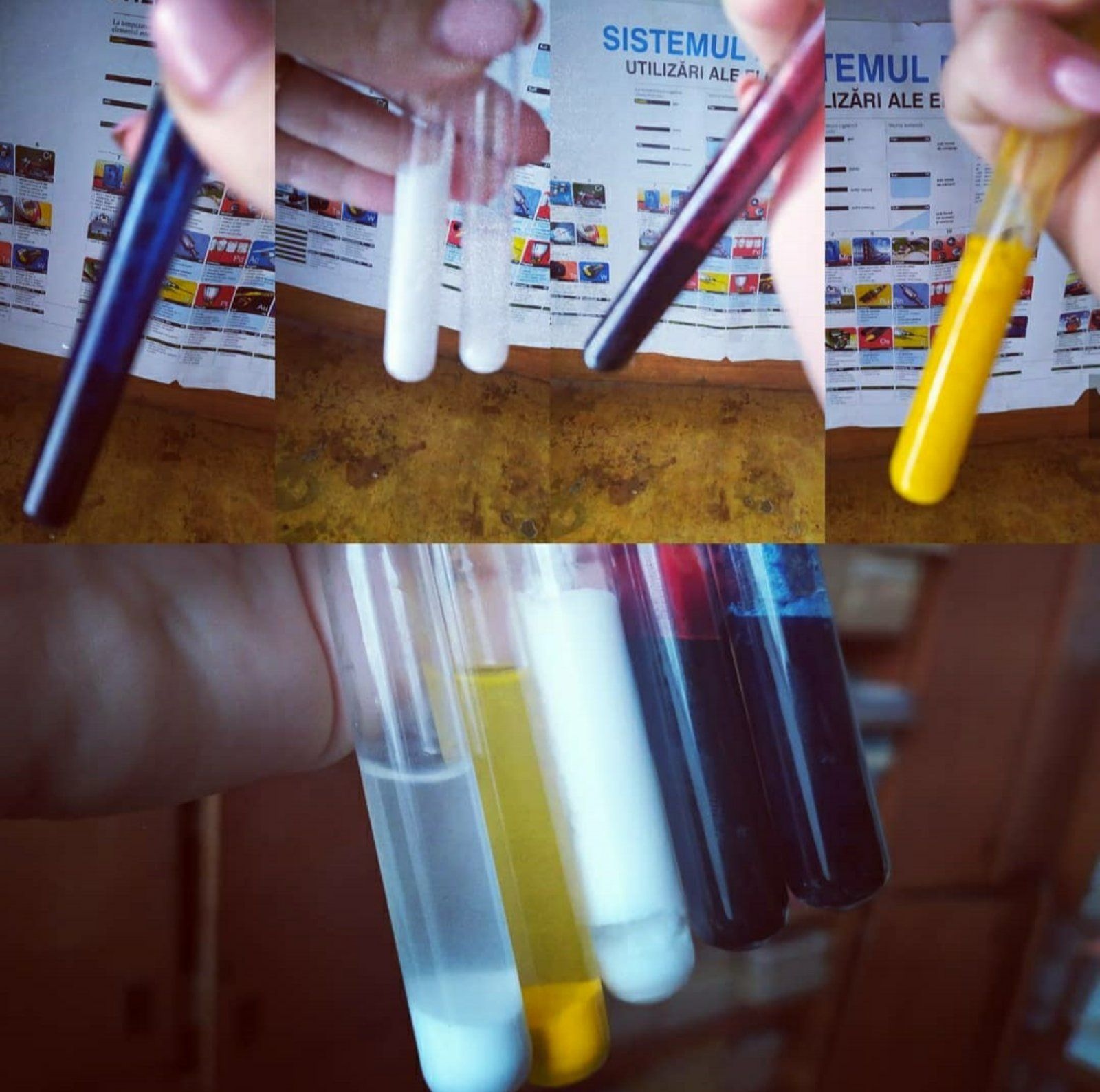 Familia chimiei | Genially