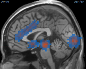 PLAISIR ET SEXUALITE | Genially