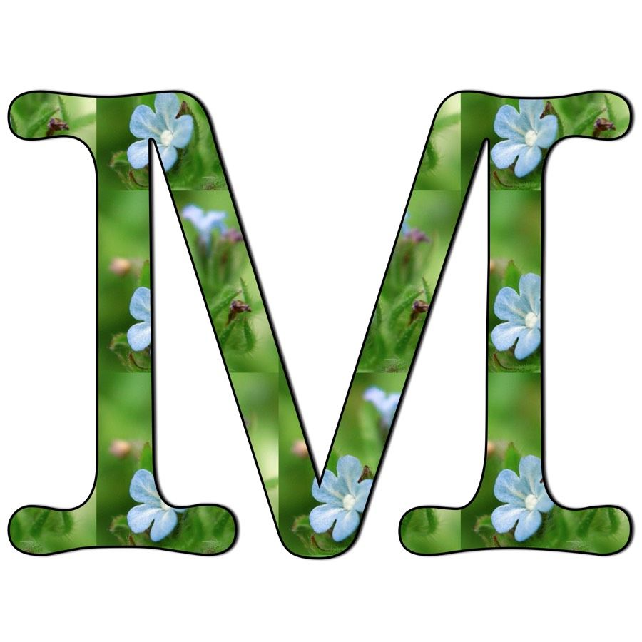 Moja mama jest wspaniała | Genially