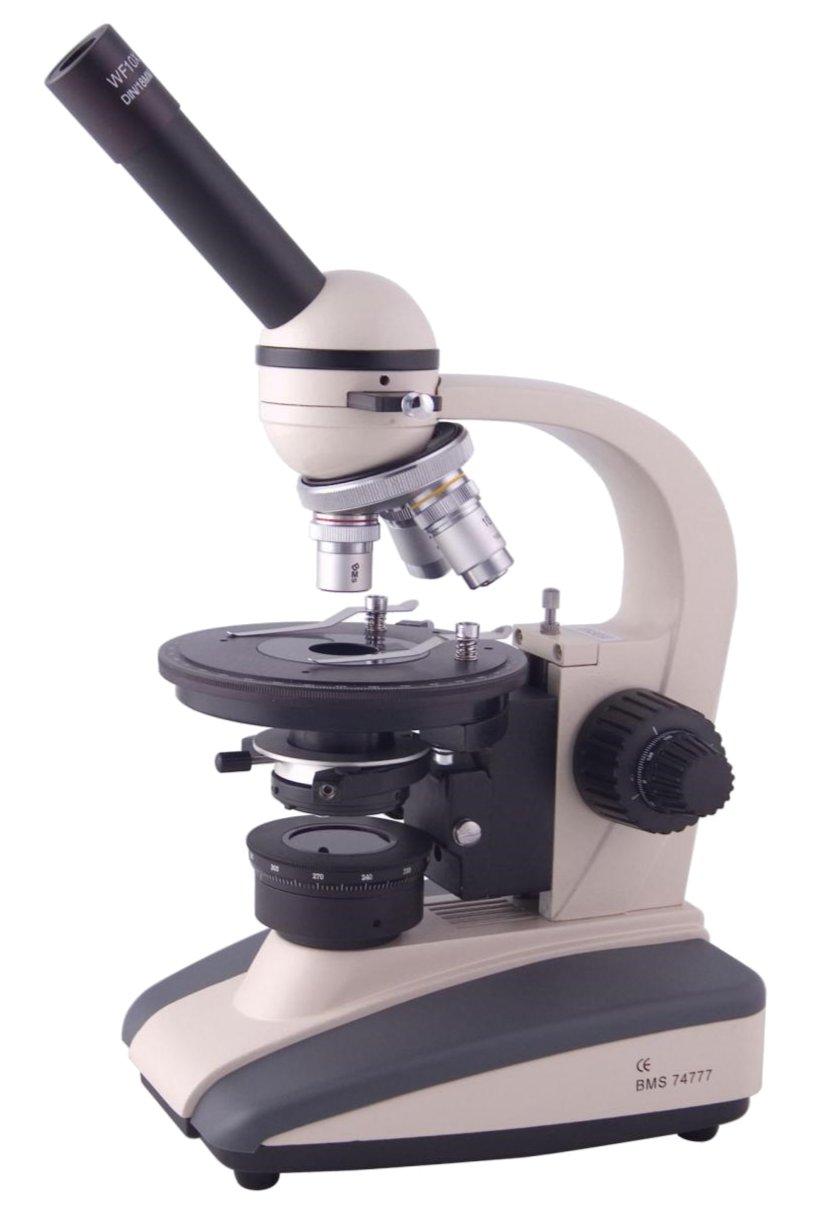 Le microscope polarisant | Genially