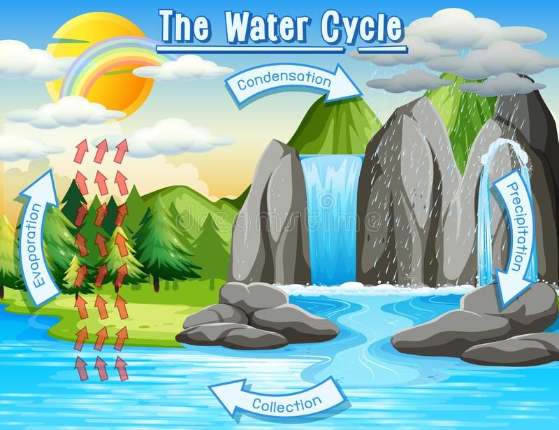 WATER CYCLE QUIZ | Genially