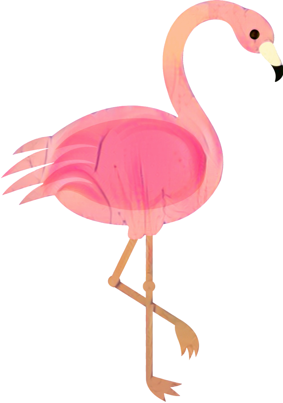 SEMANA 4 -10 JUNIO 2º INFANTIL | Genially