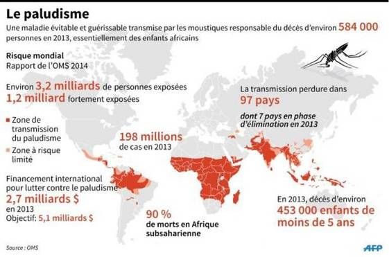 Paludisme | Genially