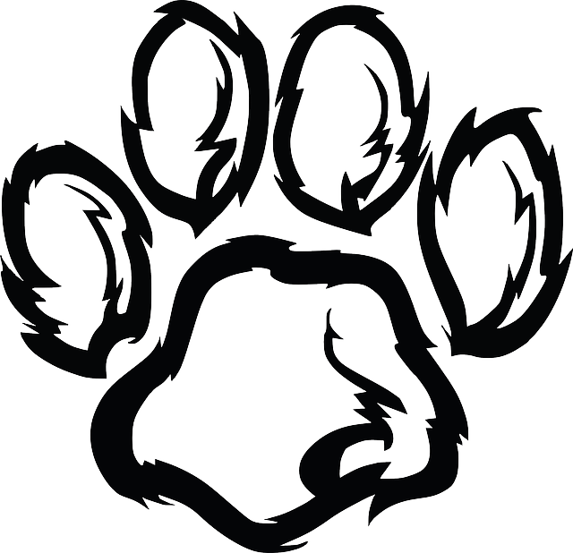 Dzień psa | Genially