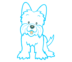 Pets memory game | Genially