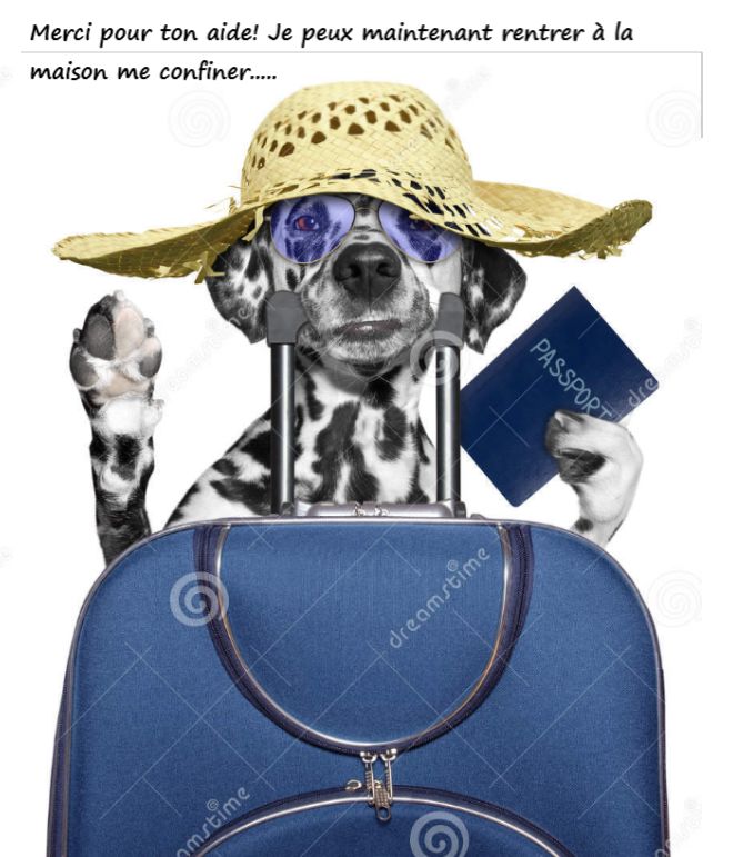 Escape game confinement 4ème | Genially