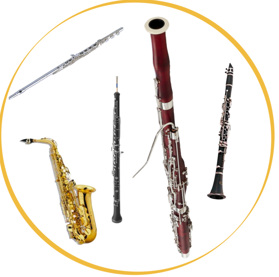 Los instrumentos de viento madera | Genially