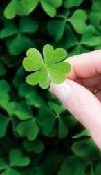 Lucky charms | Genially