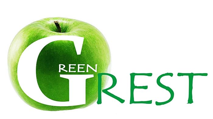 Regulamin DWD Green Rest | Genially