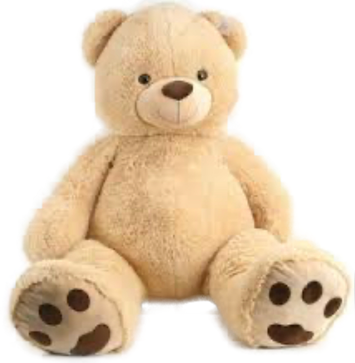 Rituel de la date en Petite et Moyenne Section | Genially