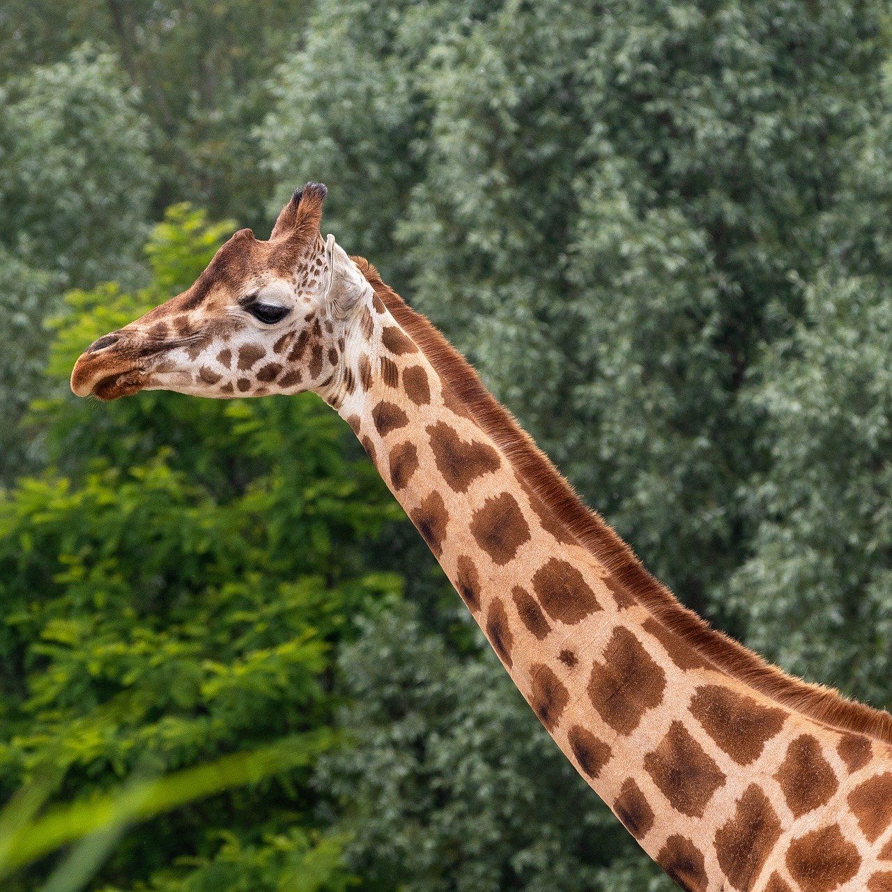 Intro to gamification and game elements 2 | Genially