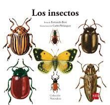 LOS INSECTOS | Genially
