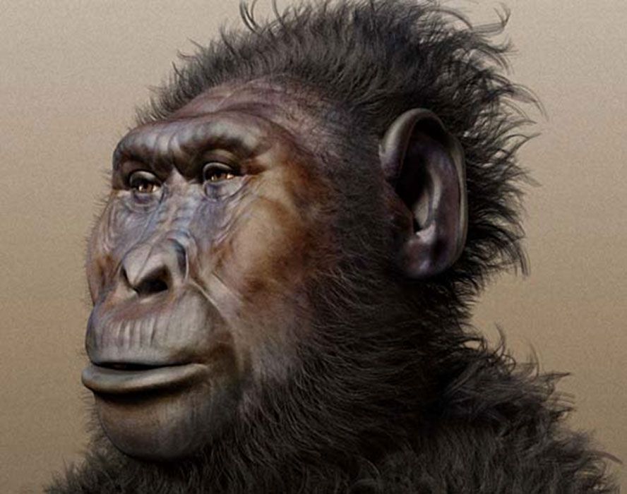 Ligne du temps interactive | Genially