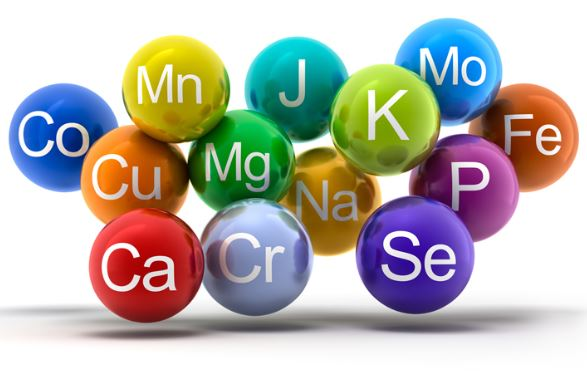 BIOELEMENTOS | Genially