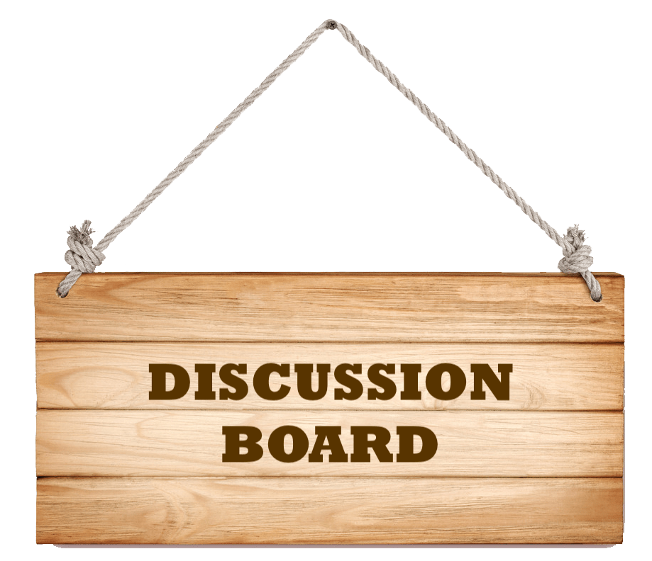 Summer 23 Sexual Orientation | Genially