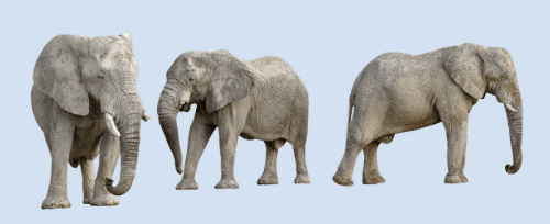 4th Math Intro Topic 2 Lesson 1-Large Numbers | Genially